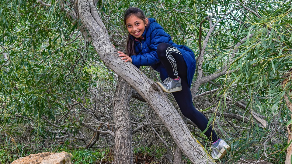 Teenager Girl Tree - Free photo on Pixabay - Pixabay