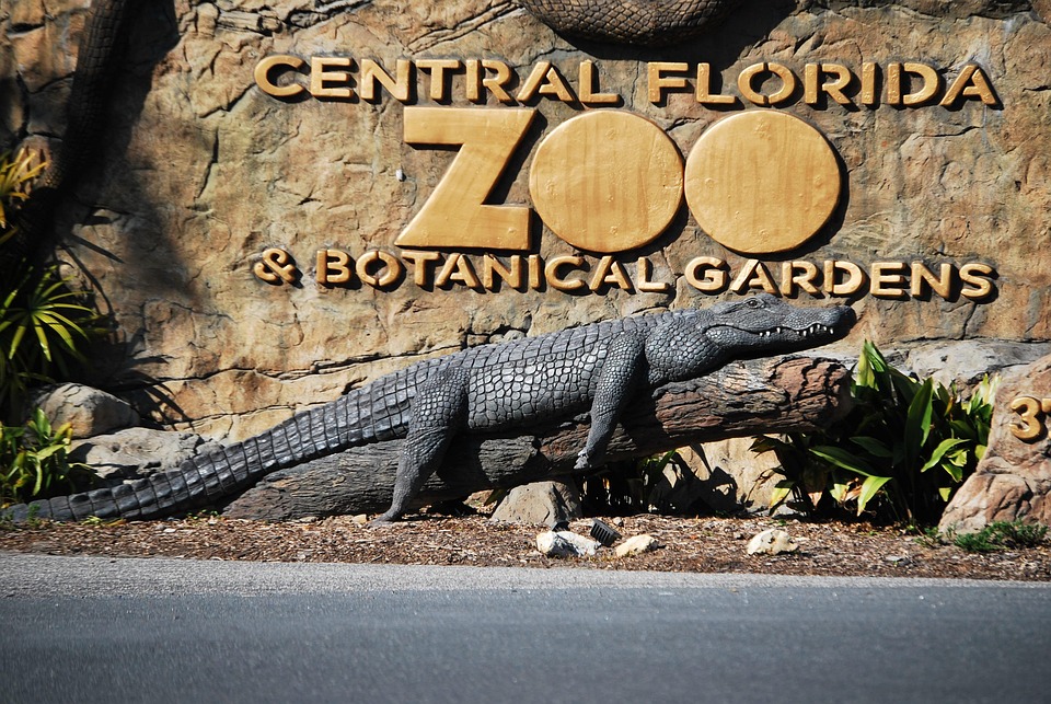 Alligator Park Fence - Free photo on Pixabay - Pixabay