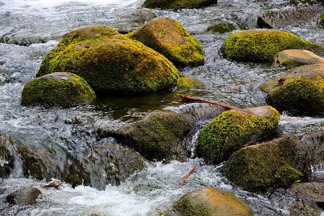 Río Piedras Arroyo - Foto gratis en Pixabay