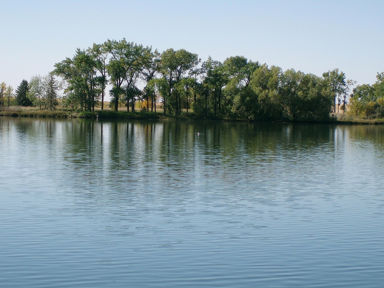 Park Lake Alberta Kanada - Fotografie zdarma na Pixabay - Pixabay