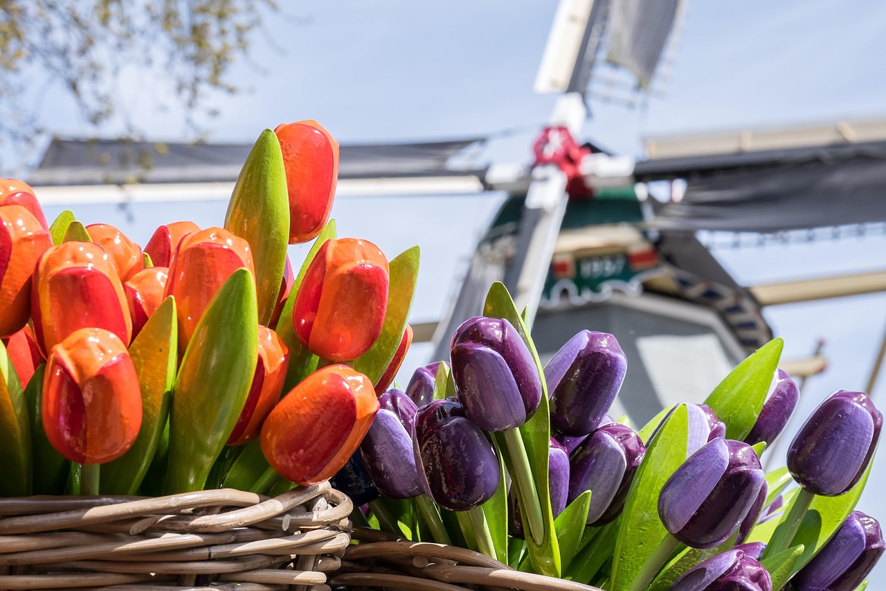 Tulips Flowers Basket - Free photo on Pixabay - Pixabay