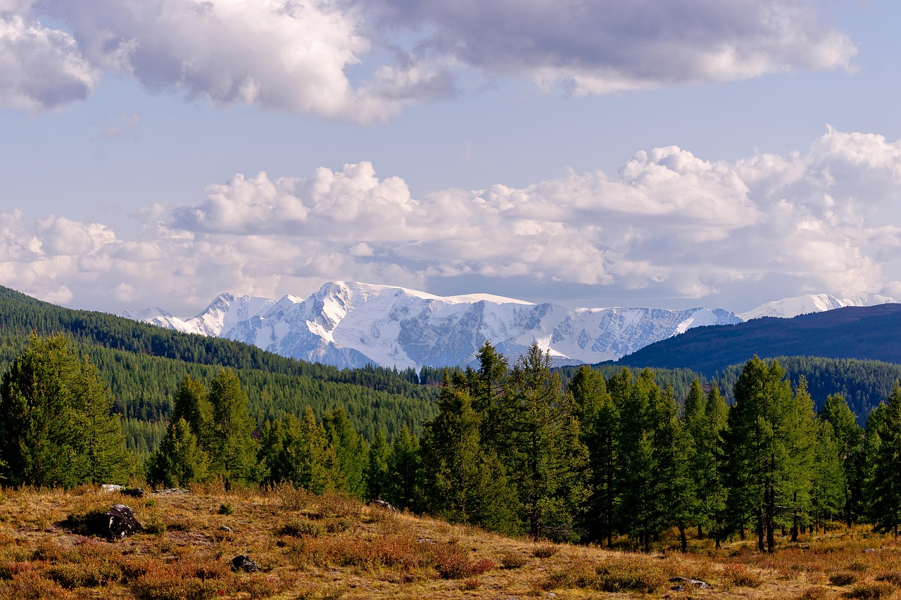 Montagnes Forêt Paysage Des - Photo gratuite sur Pixabay - Pixabay