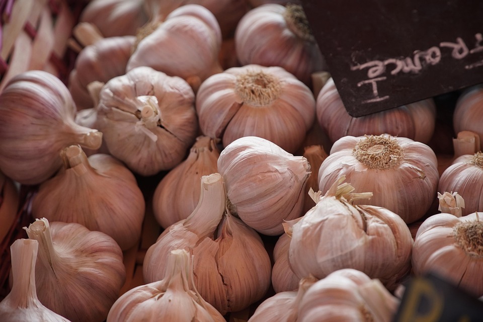 Garlic Spice Ingredient - Free photo on Pixabay