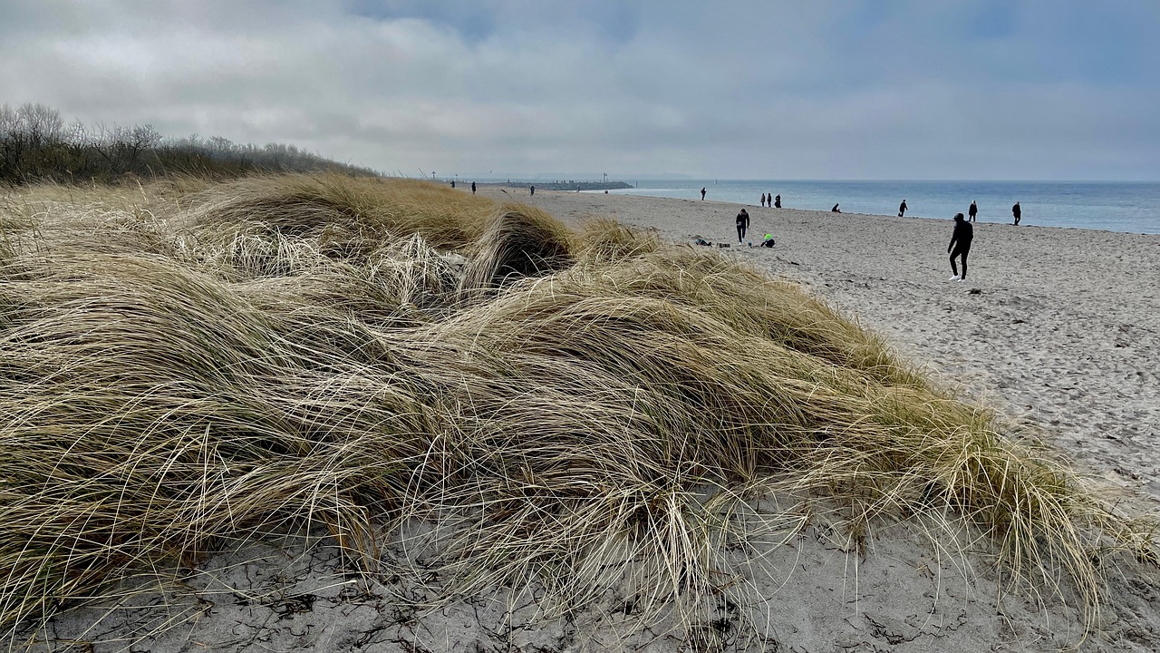 Dune Mer Baltique - Photo gratuite sur Pixabay - Pixabay