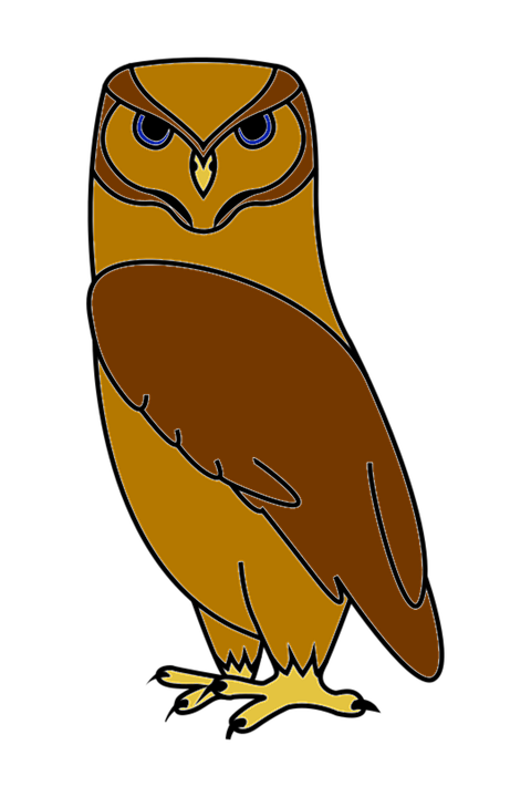 Cartoon Flying Owl