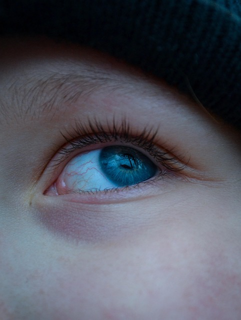 蓝眼 孩子 脸 - Pixabay上的免费照片 - Pixabay