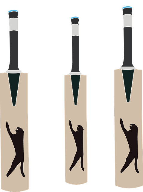 Sport Bat Equipment - Free image on Pixabay