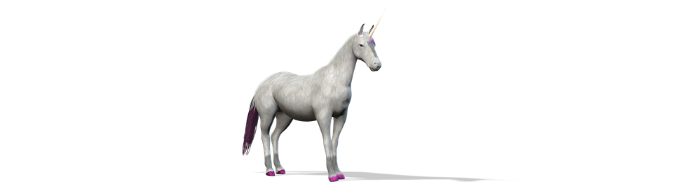 Cavalo Animal Sem Copyright - Imagens grátis no Pixabay