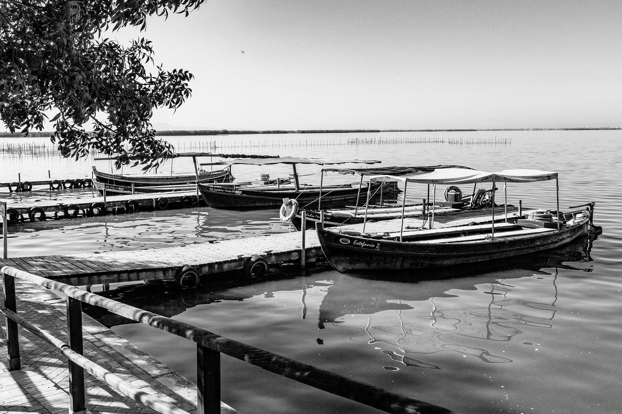 La Albufera Fascinante El Gran Humedal Valenciano Que