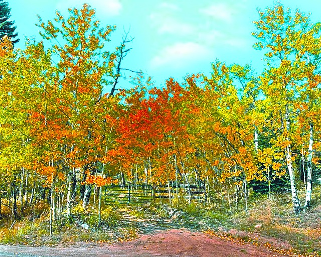 Aspen Colorado Panorama - Foto gratuita no Pixabay - Pixabay