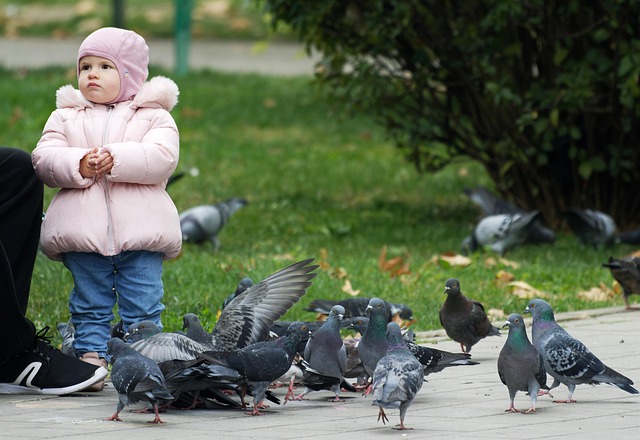 Child Birds Pigeons - Free photo on Pixabay