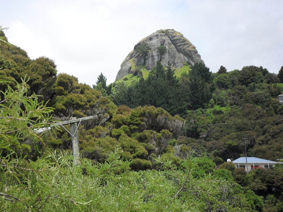New Zealand Mountain North - Free photo on Pixabay - Pixabay