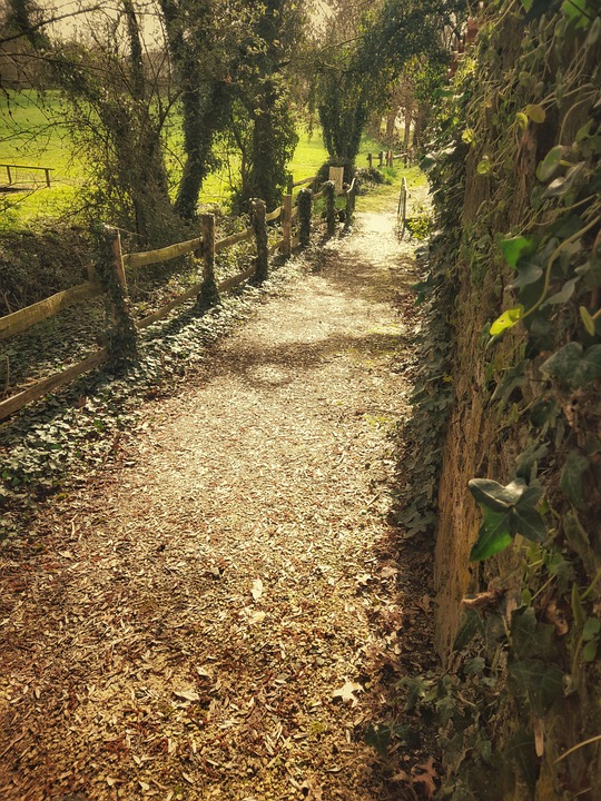 Path Field - Free photo on Pixabay - Pixabay