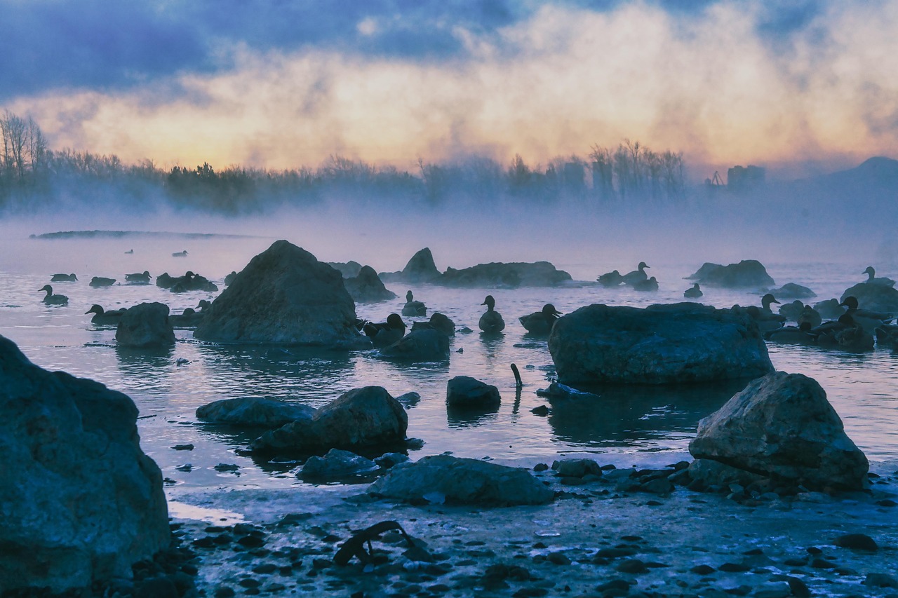 Fleuve Nature Région Sauvage En - Photo gratuite sur Pixabay - Pixabay