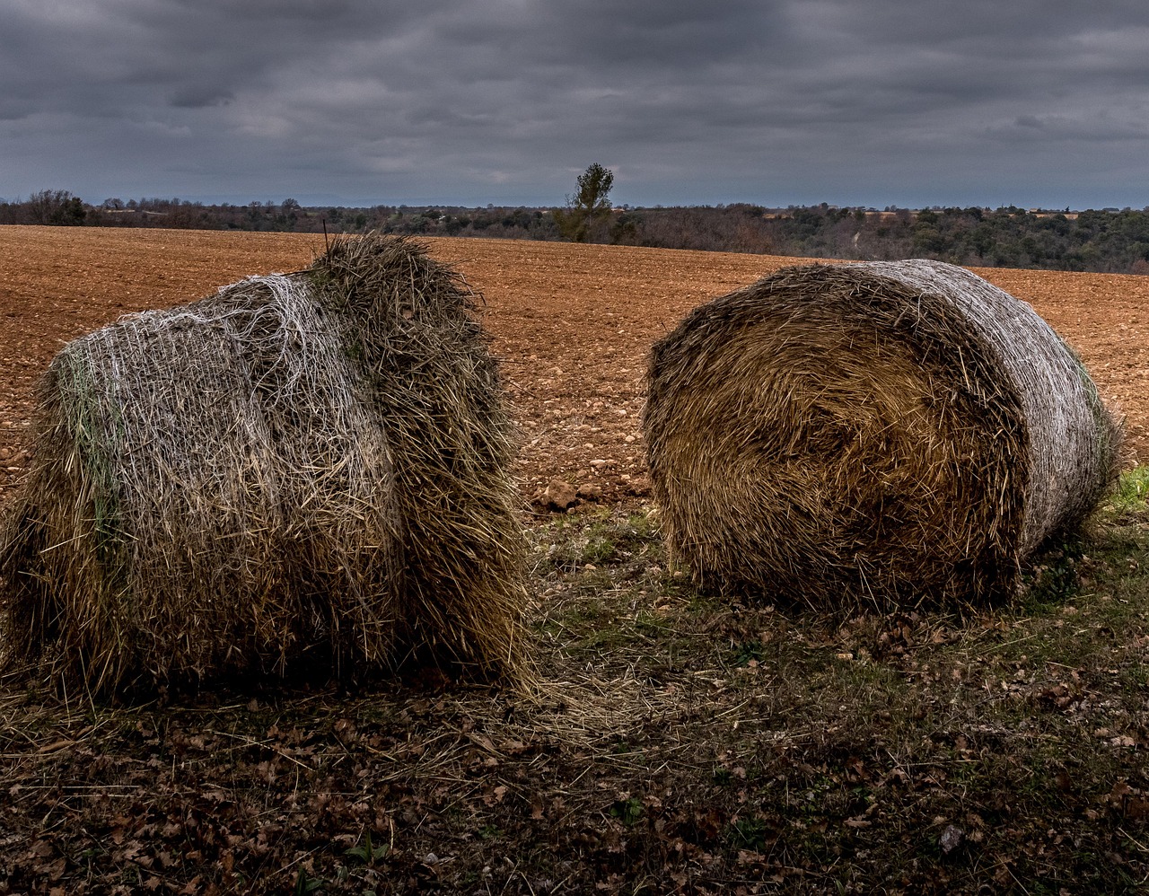 Hay Bales Of Field - Free photo on Pixabay - Pixabay