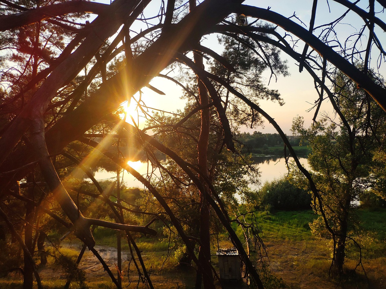 Pripyat Mazir Natureza - Foto gratuita no Pixabay