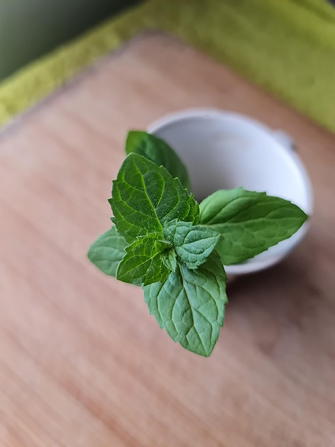 Hierba Menta Fresca - Foto gratis en Pixabay - Pixabay