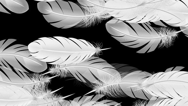 Download Feathers, Plumage, Fragile. Royalty-Free Stock Illustration ...