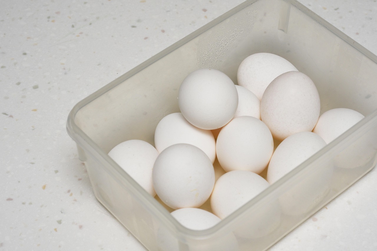 Food Egg Protein - Free photo on Pixabay - Pixabay