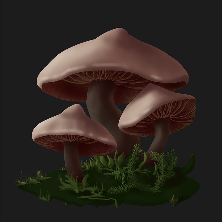Mushrooms Fungi 3D Render - Free image on Pixabay