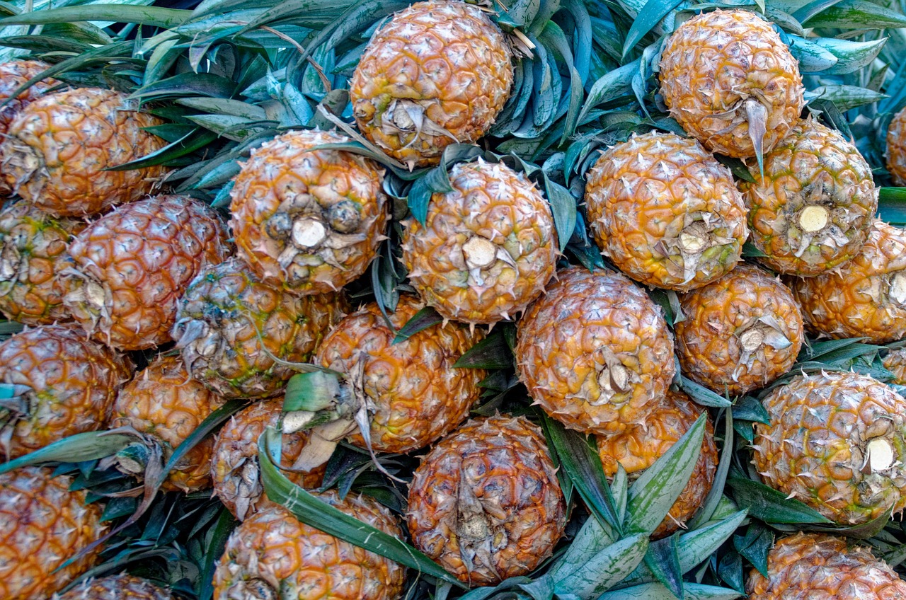 Ananas Des Fruits En Bonne Santé - Photo gratuite sur Pixabay - Pixabay