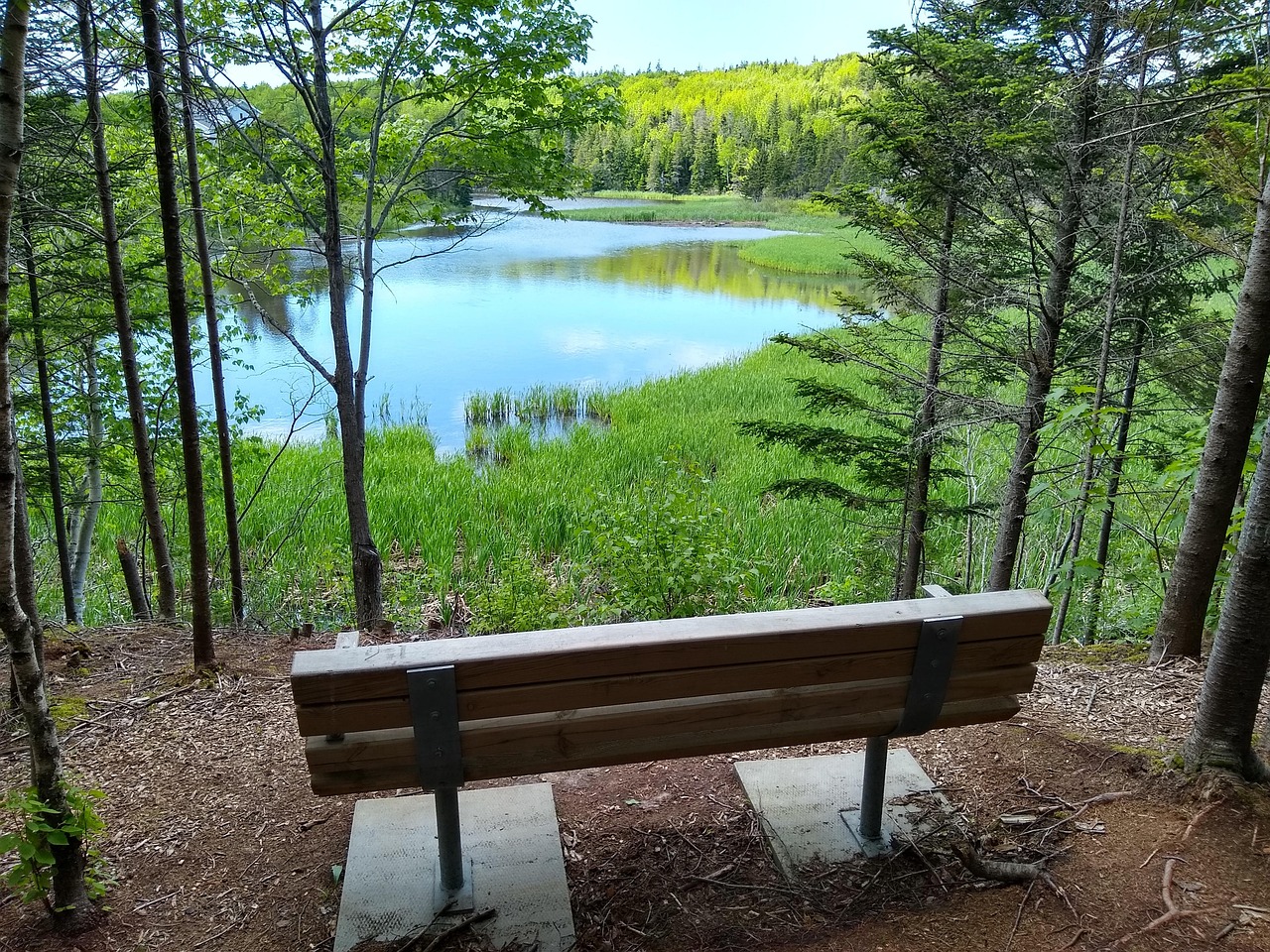 Bench Lake Pond - Free photo on Pixabay