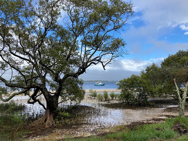 Water Sea Foreshore - Free photo on Pixabay - Pixabay