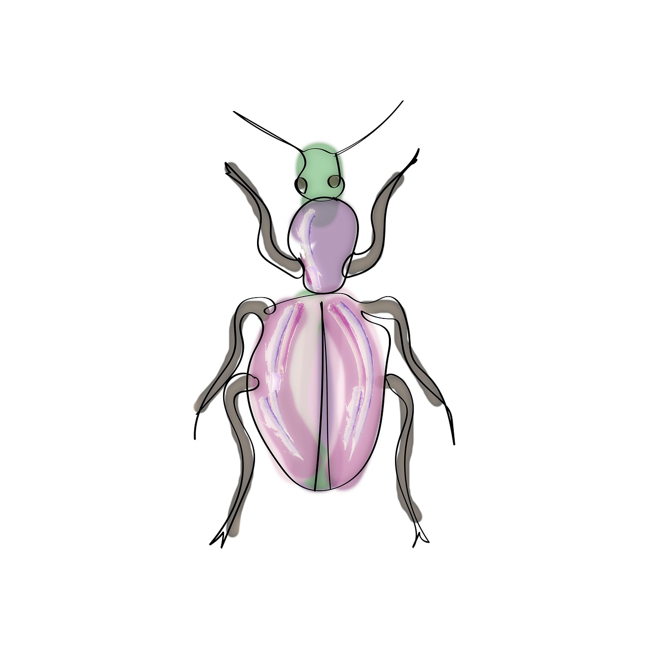 90+ Free Drawing Bug & Bug Images - Pixabay