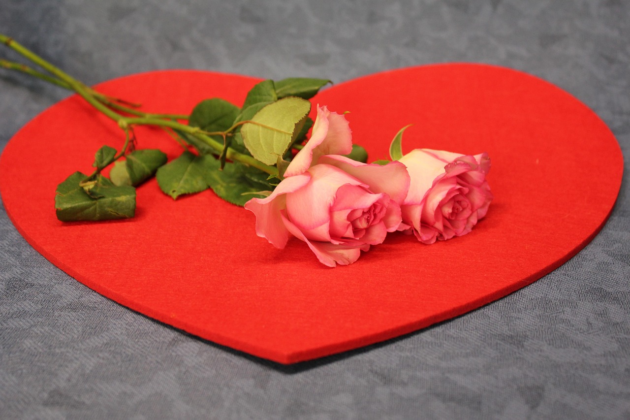 Coeur Avec Des Roses Aysun G - Photo gratuite sur Pixabay - Pixabay