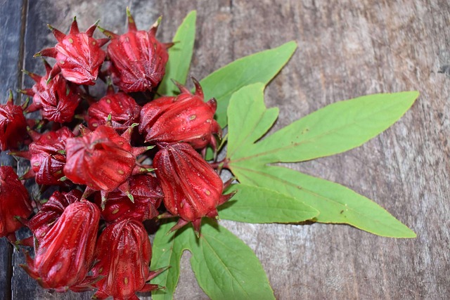 10+ Free Roselings & Roselle Images - Pixabay