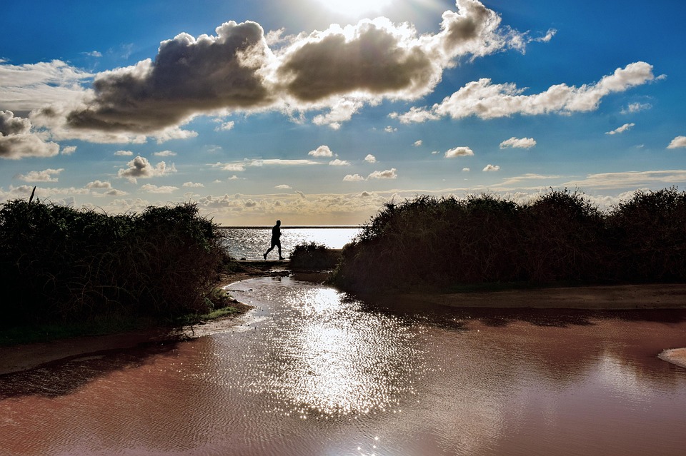 Sea Seaside Man - Free photo on Pixabay - Pixabay