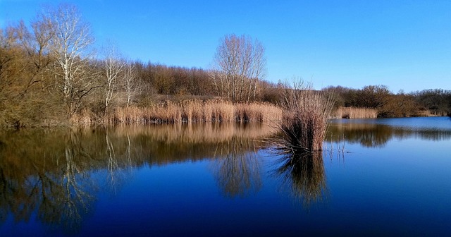 Fish Pond Lake River - Free photo on Pixabay