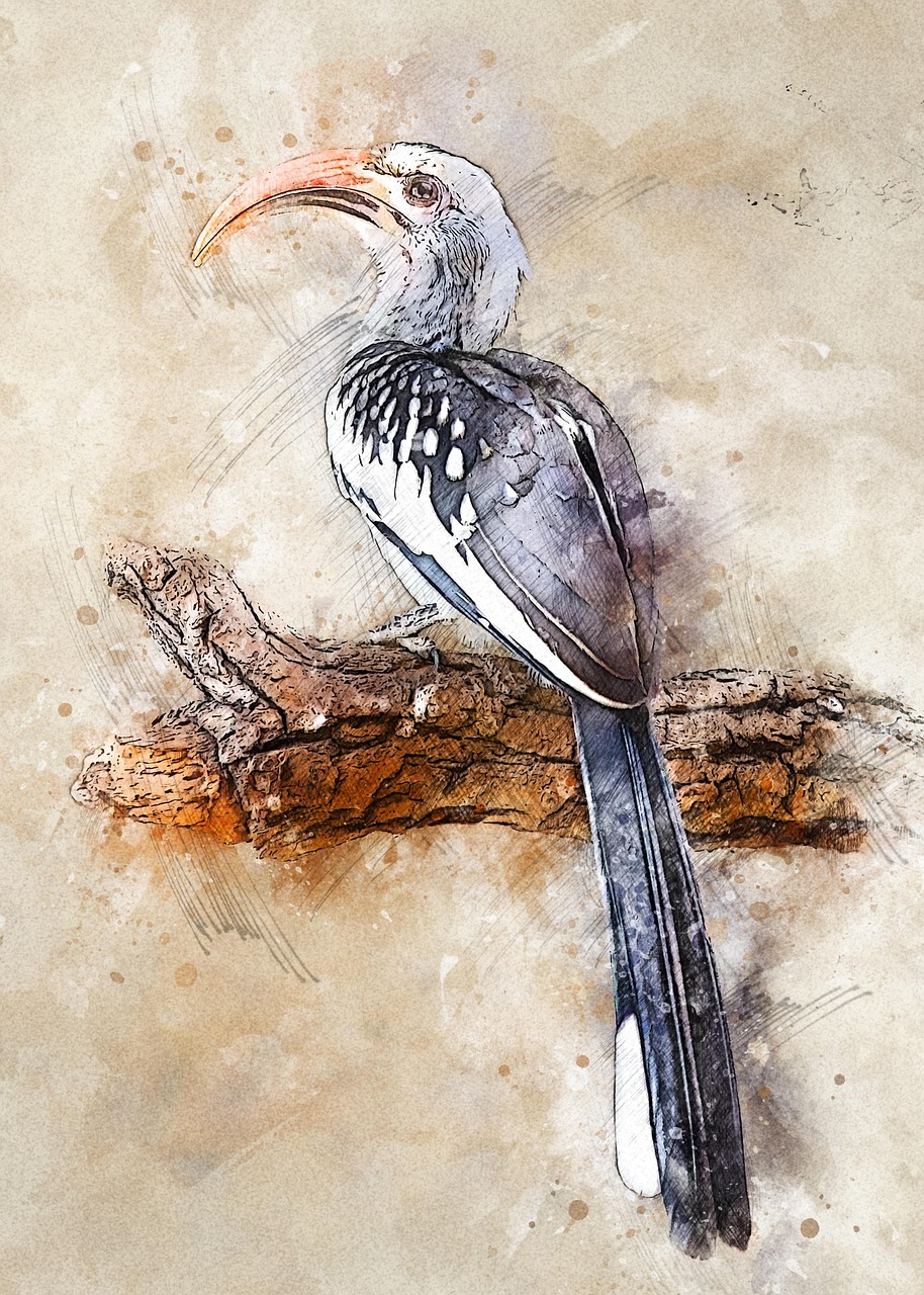 Download Southern Yellow-Billed Hornbill, Bird, Animal. Royalty-Free ...
