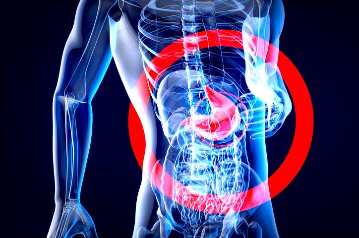 90+ Free Digestive & Digestion Images - Pixabay