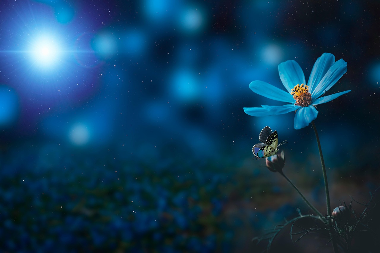 Flor Mariposa Primavera - Foto gratis en Pixabay - Pixabay