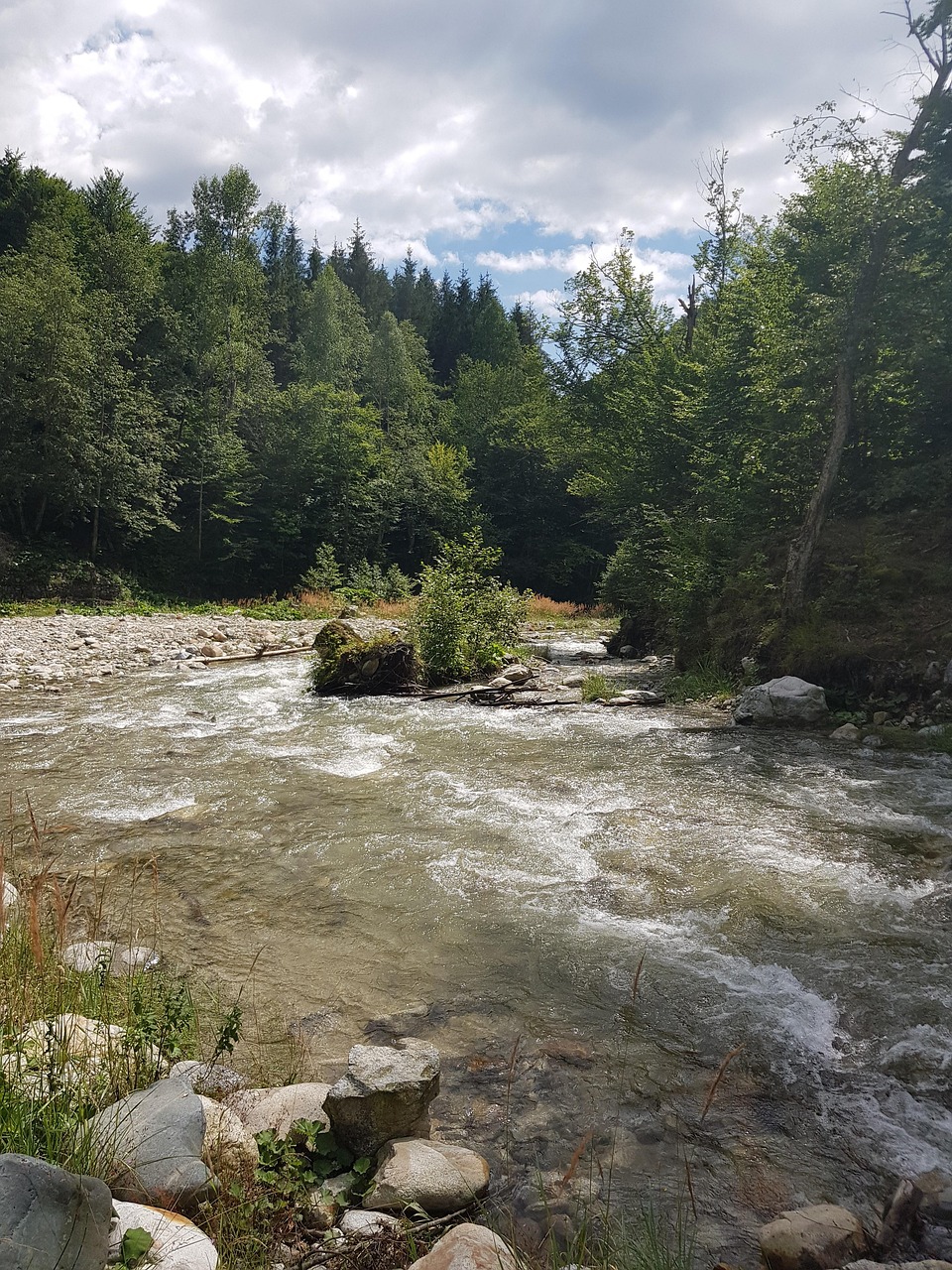River Nature Romania - Free photo on Pixabay - Pixabay