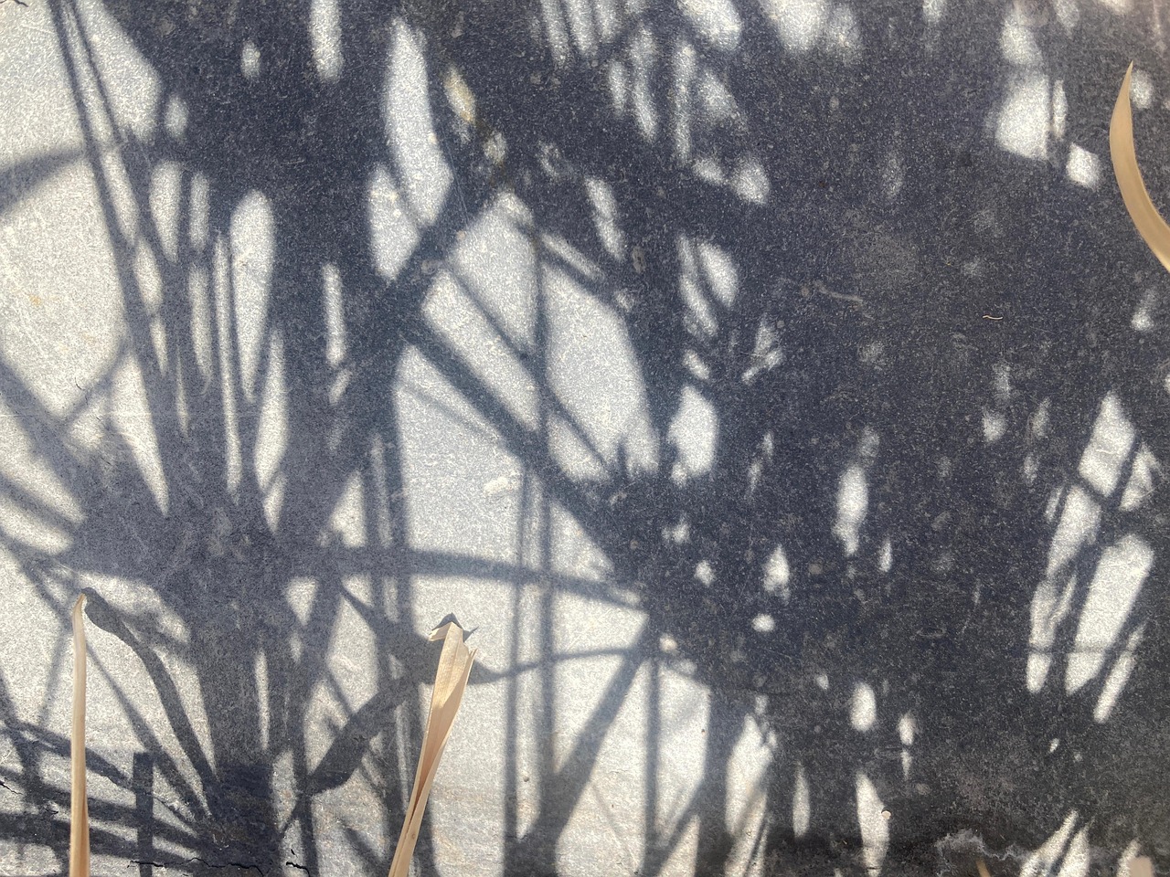 Schatten Hintergrund Natur Keine - Kostenloses Foto auf Pixabay - Pixabay