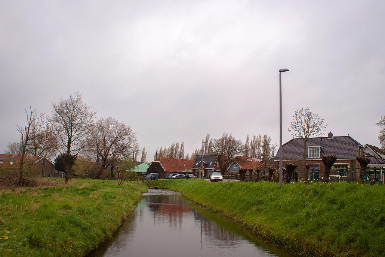 River Grass Netherlands - Free photo on Pixabay - Pixabay