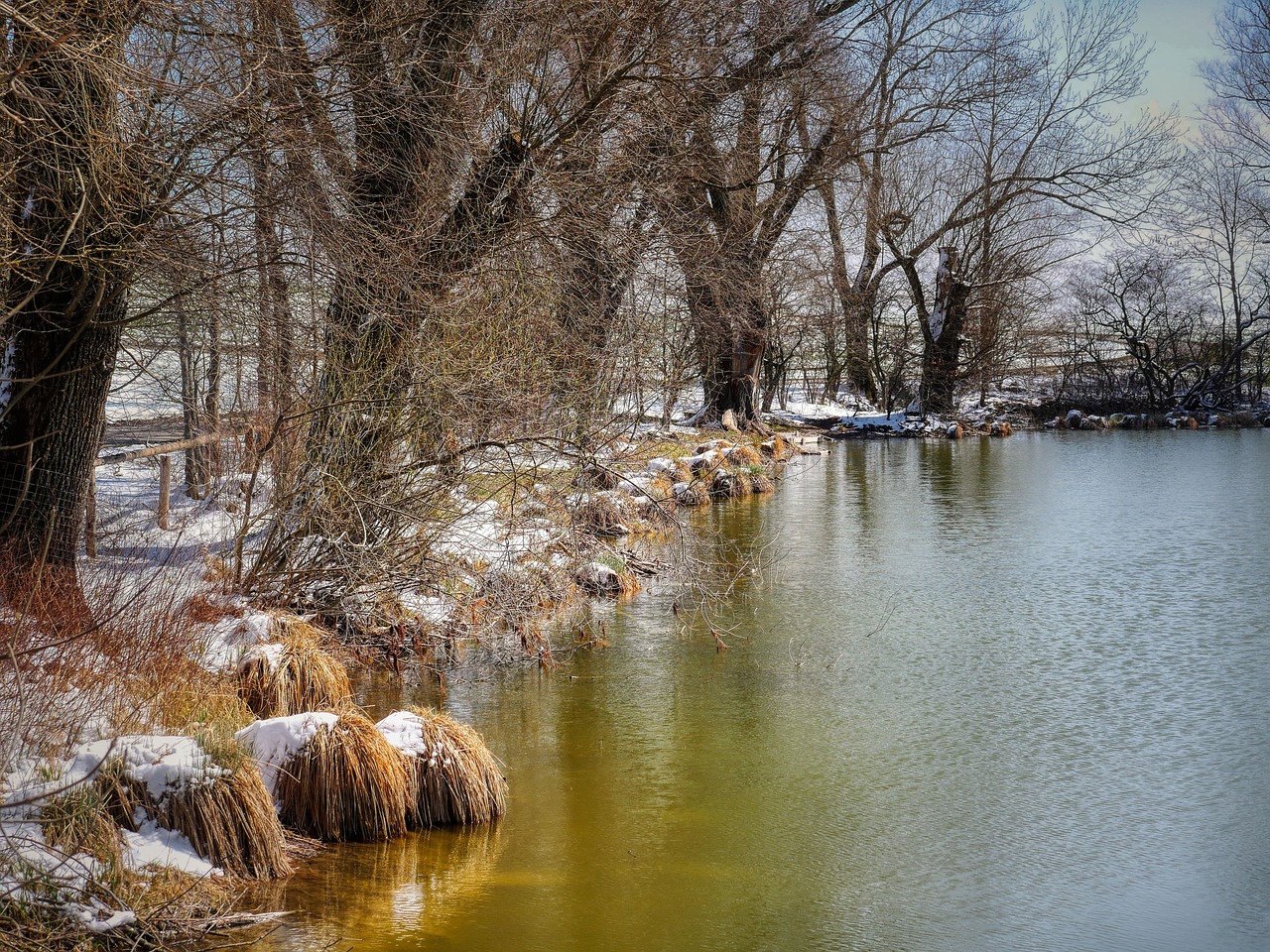 Pond River Winter - Free photo on Pixabay