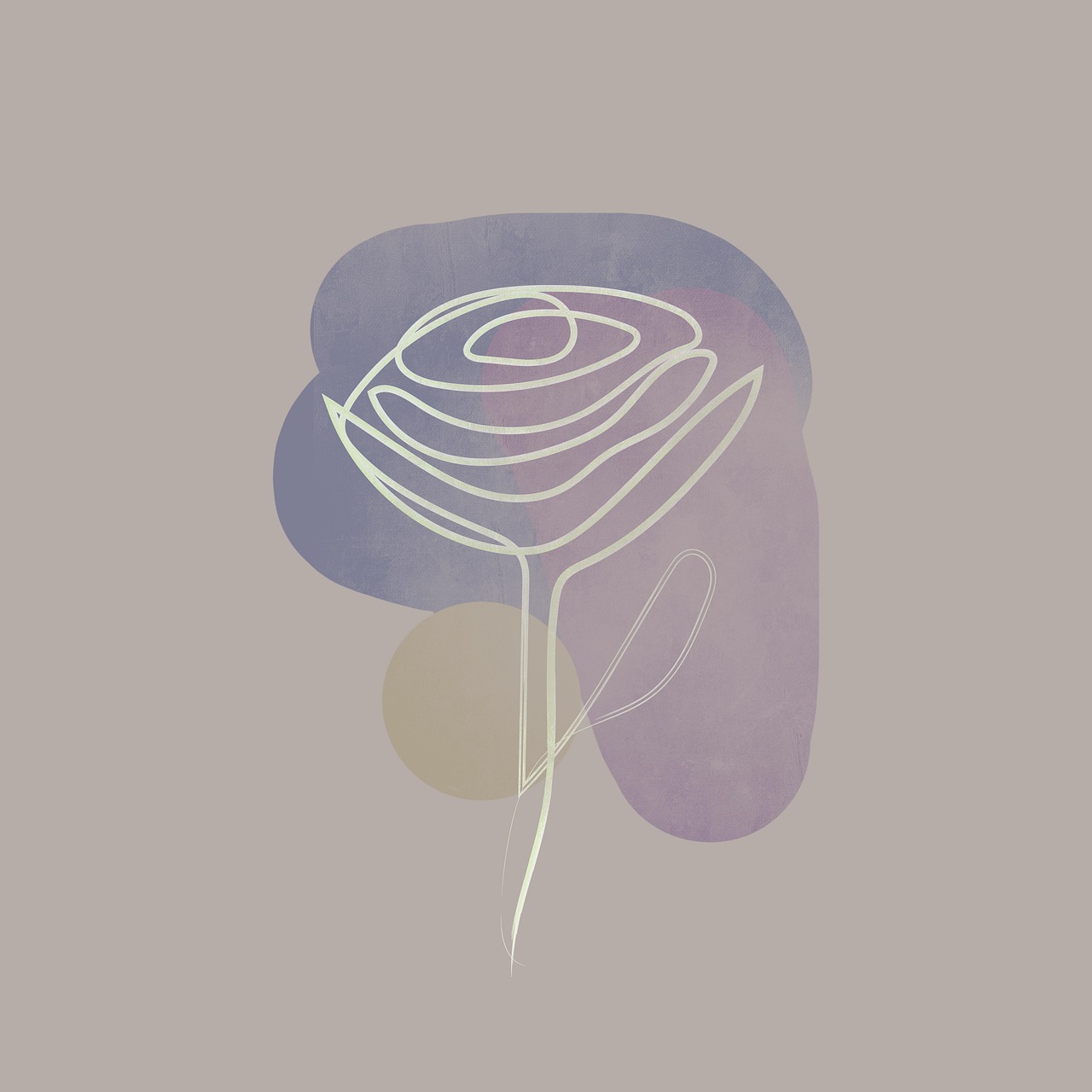 Rose Blomst Tegning Design Rose Line Art Plakat Med Rose Tegning