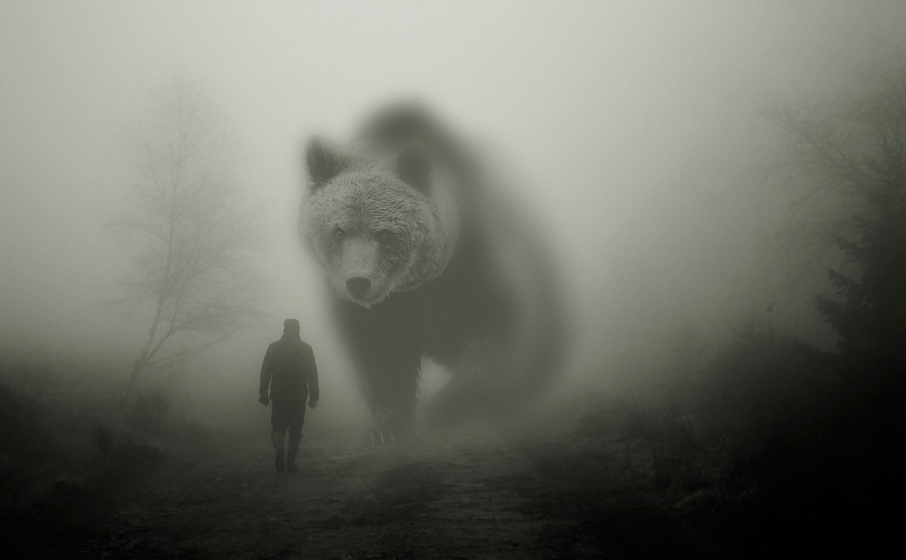 Animal Bear Fiction - Free photo on Pixabay