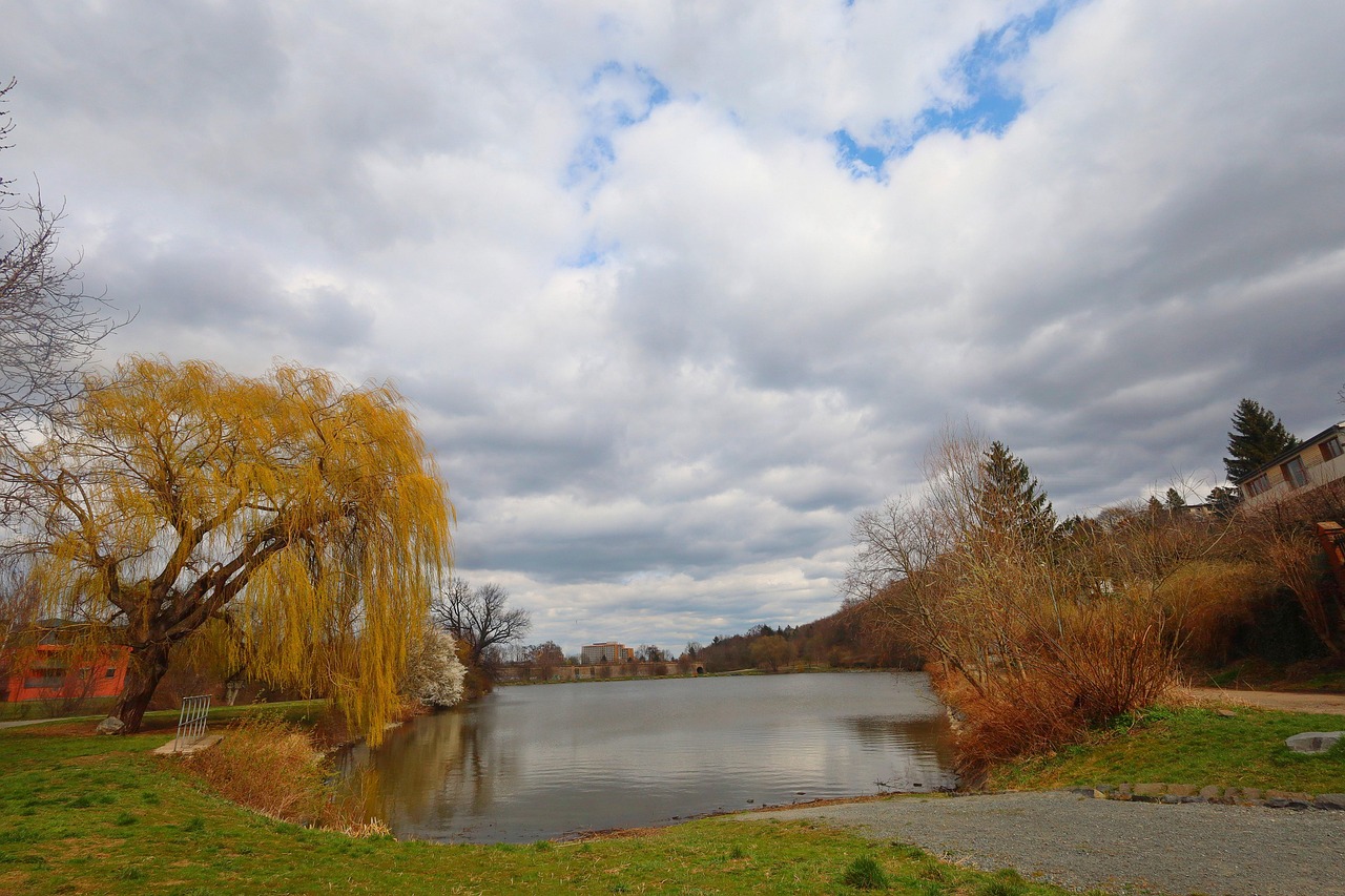 Des Arbres Lac Fleuve Le - Photo gratuite sur Pixabay - Pixabay