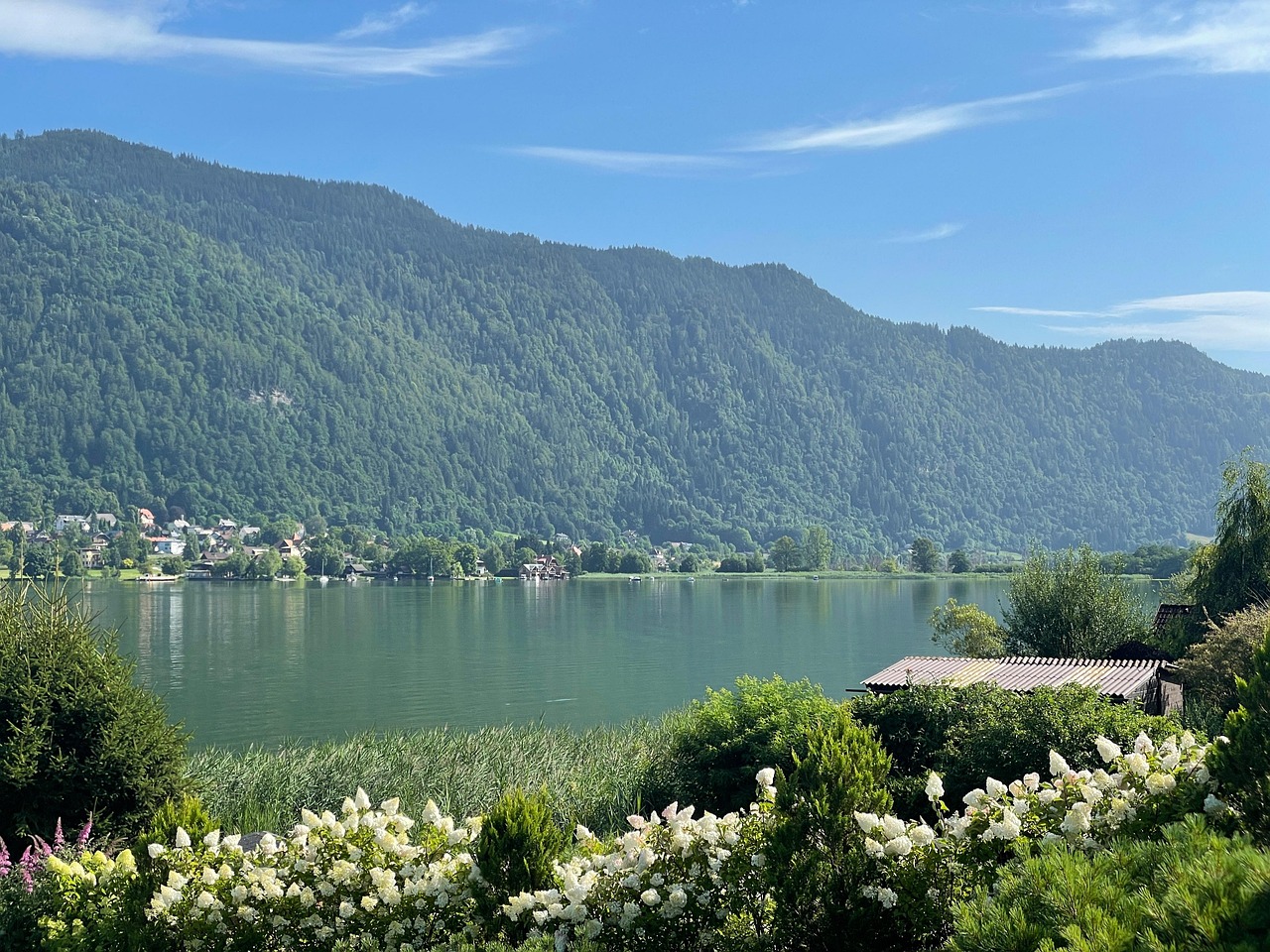 Carinthia Nature Austria - Free photo on Pixabay - Pixabay