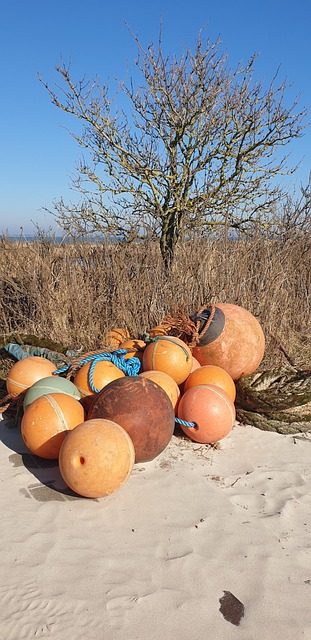 Sea Buoy Wadden - Free photo on Pixabay - Pixabay