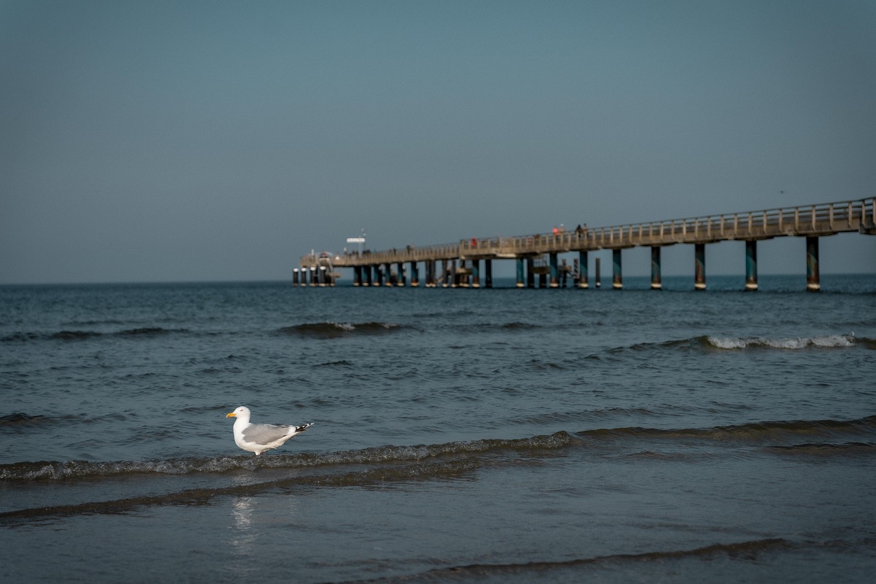 Baltic Sea Beach - Free photo on Pixabay - Pixabay