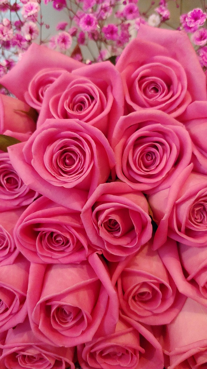 A Bouquet Of Roses Pink Rose - Free photo on Pixabay - Pixabay