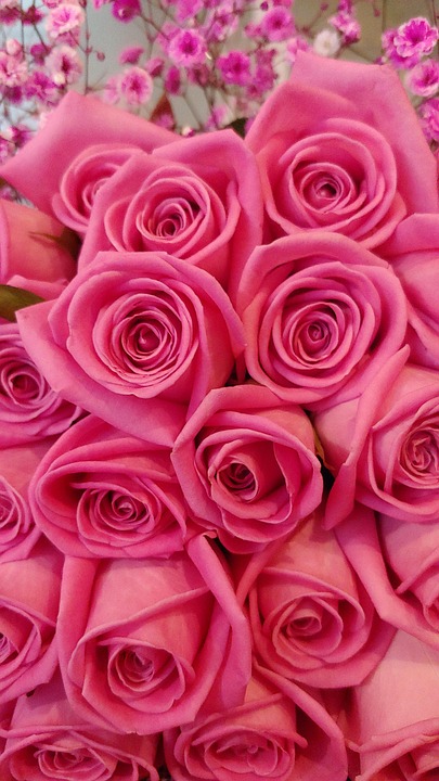 A Bouquet Of Roses Pink Rose - Free photo on Pixabay - Pixabay