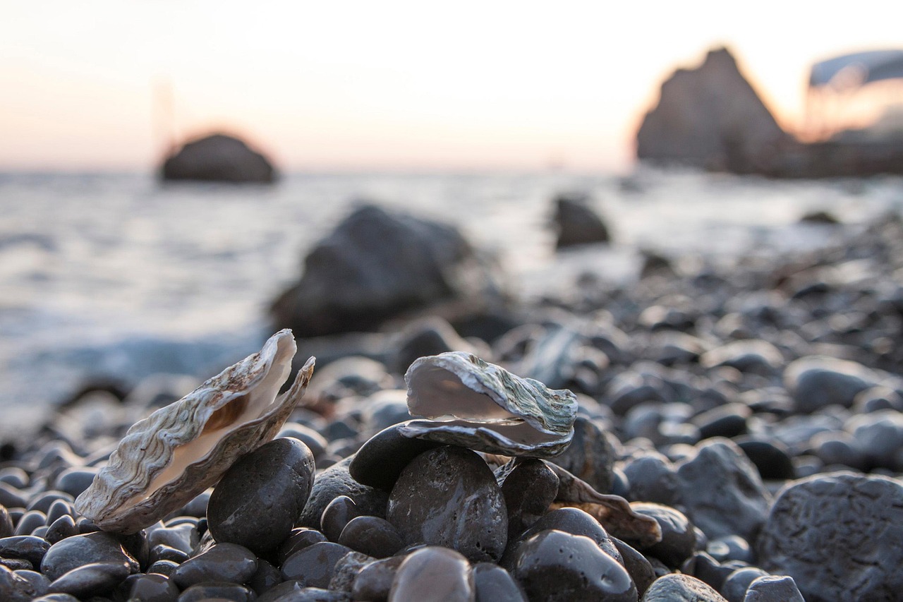 Mer Huîtres Cailloux Le Coucher Du - Photo gratuite sur Pixabay - Pixabay