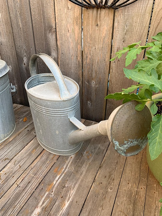 Water Pot Garden - Free photo on Pixabay - Pixabay