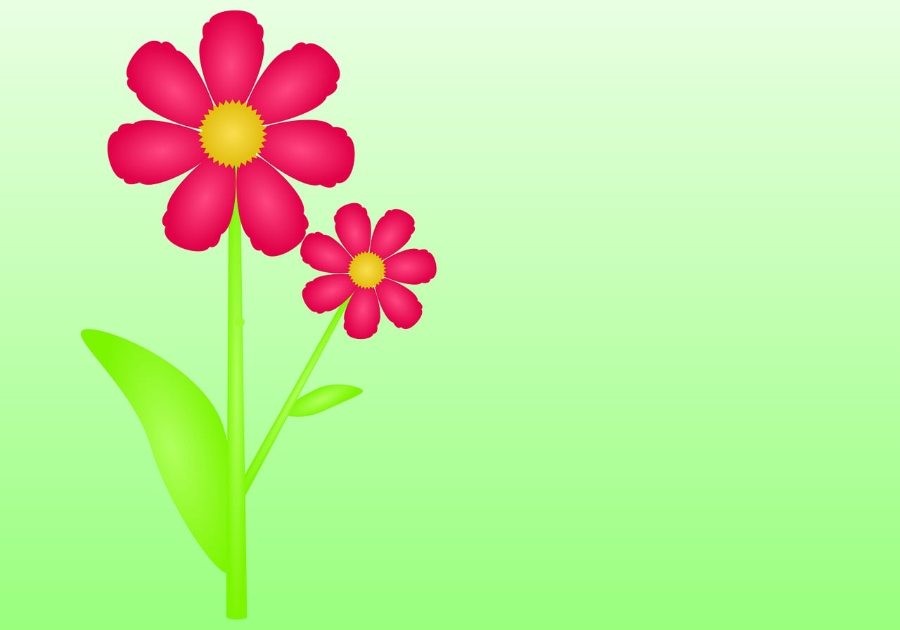 Download Flowers, Nature, Plant. Royalty-Free Vector Graphic - Pixabay